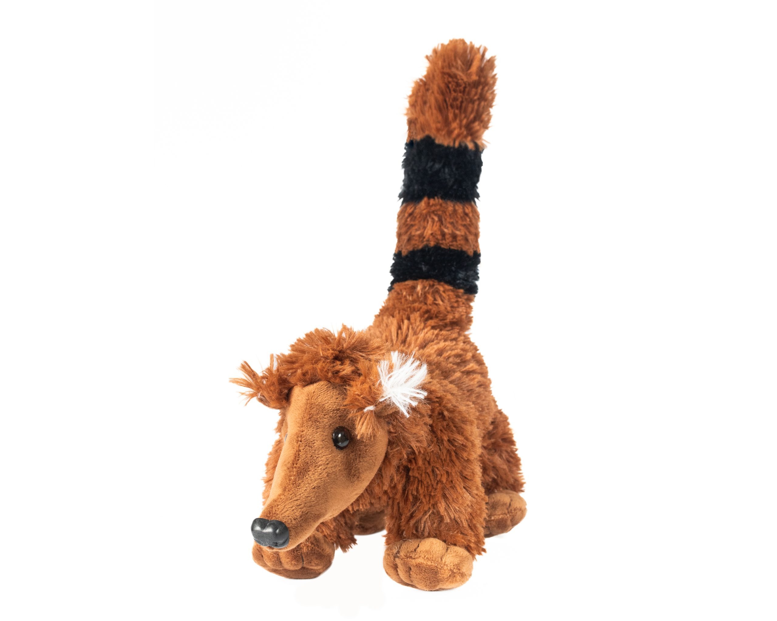 Peluche Cusumbo - Instituto de Investigación de Recursos Biológicos ...