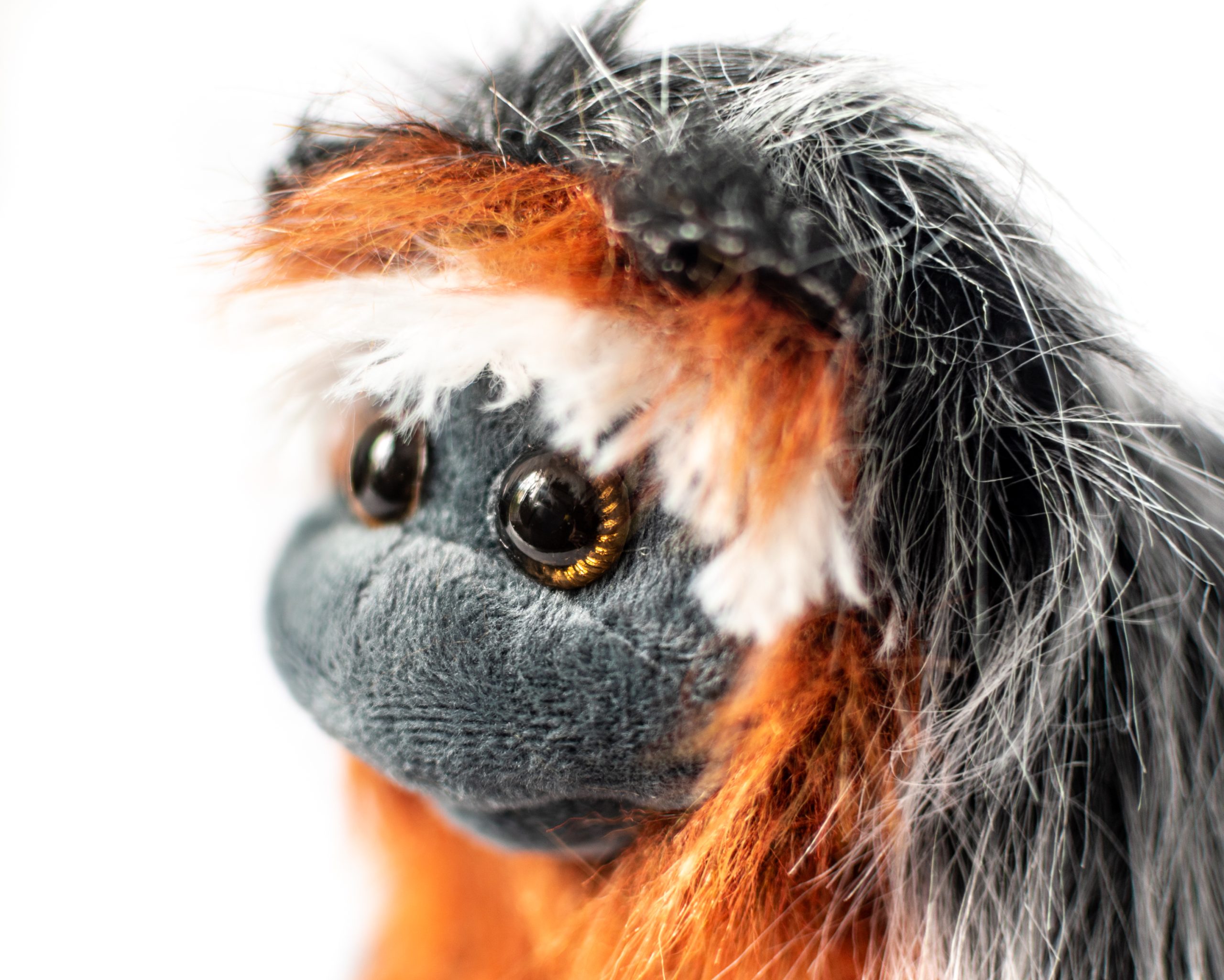 Peluche Mono Zocay - Instituto de Investigación de Recursos Biológicos ...