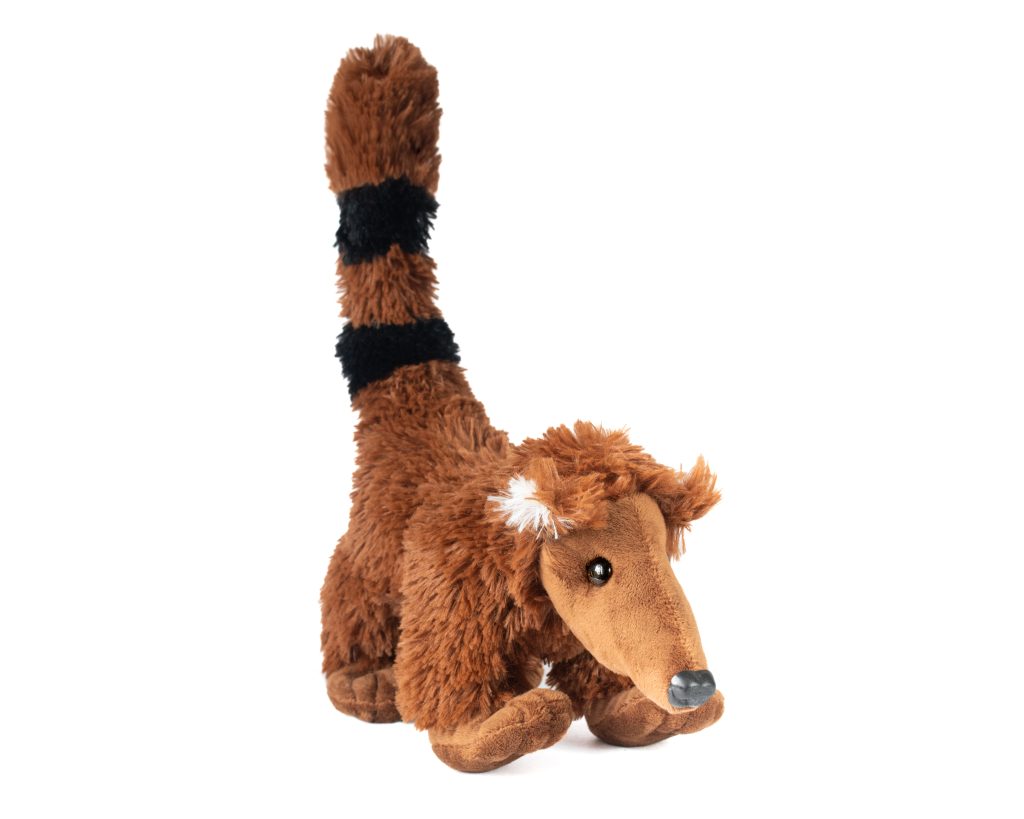 Peluche Cusumbo - Instituto de Investigación de Recursos Biológicos ...