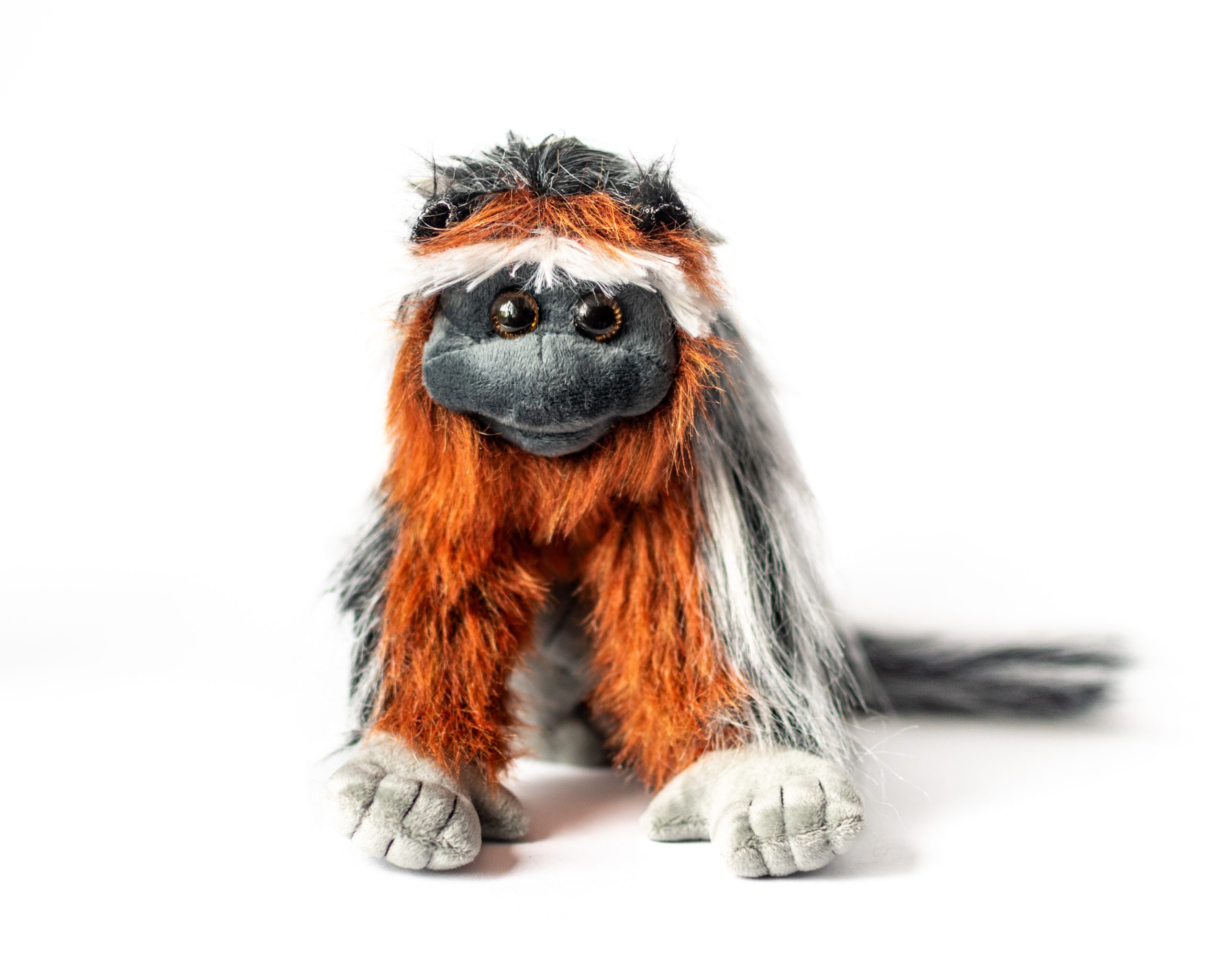 Peluche Mono Zocay - Instituto de Investigación de Recursos Biológicos ...
