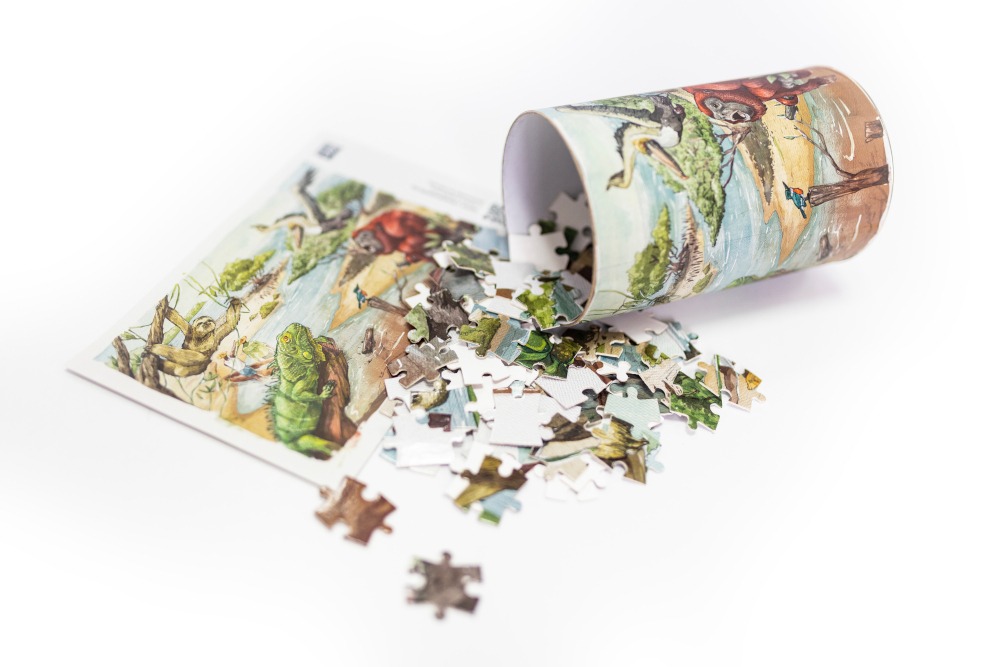 Rompecabezas Los humedales de la costa Caribe - Instituto de ...