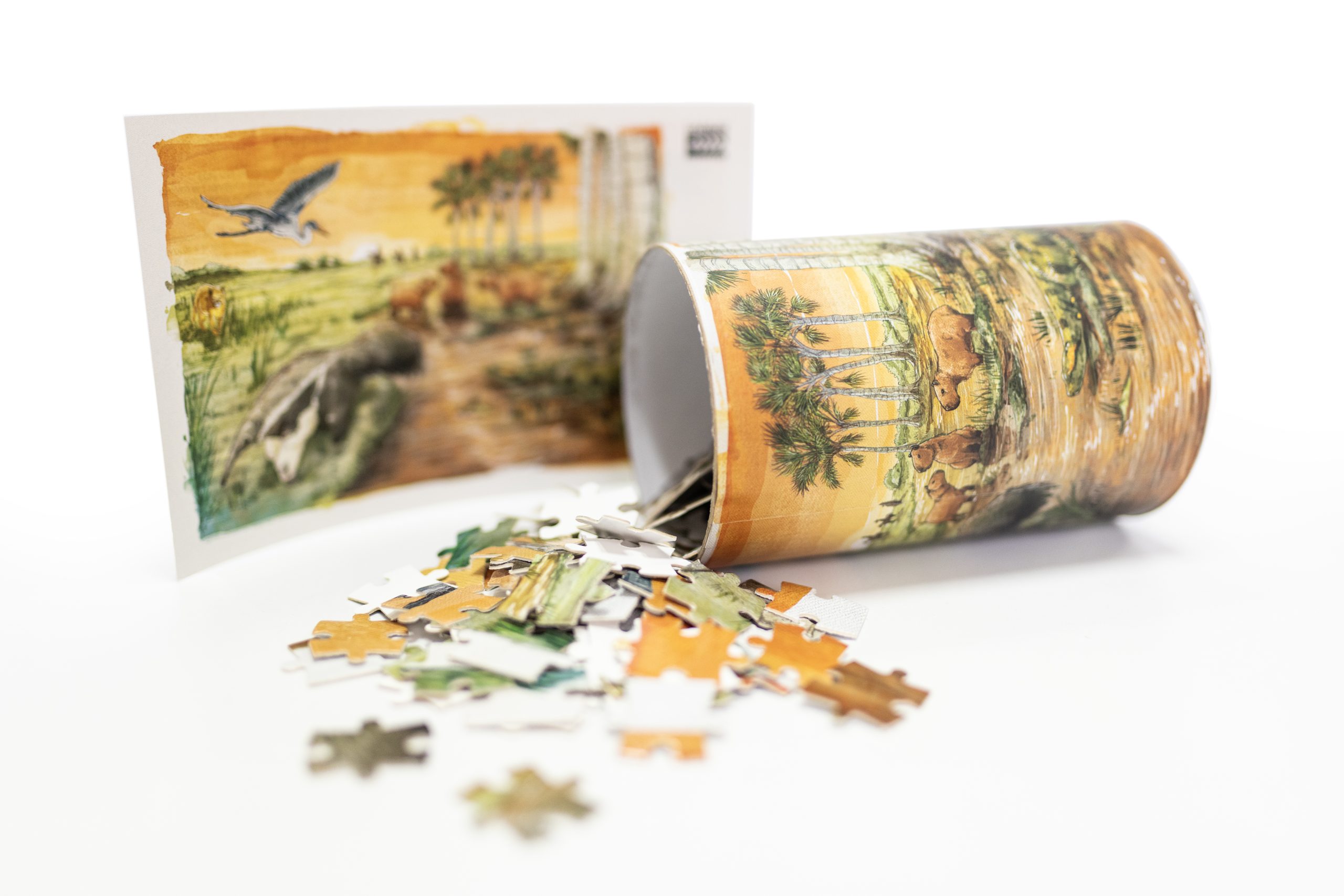 Rompecabezas Los humedales de la Orinoquia - Instituto de Investigación ...