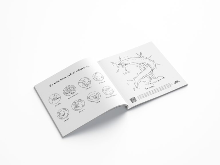 Soy un bicho raro VOL I - Instituto de Investigación de Recursos ...