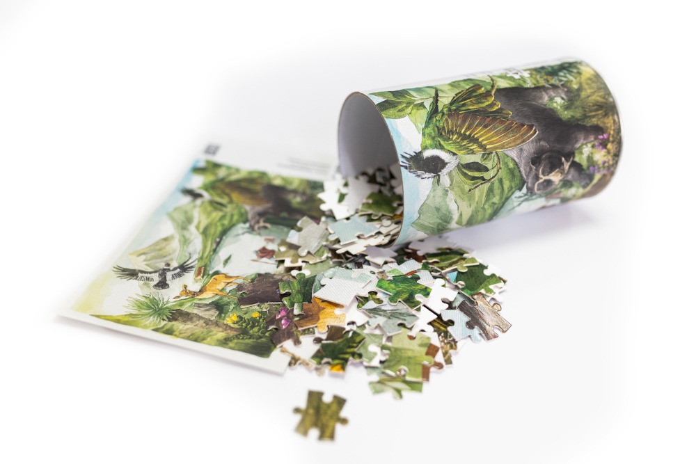 Rompecabezas Los humedales de alta montaña - Instituto de Investigación ...